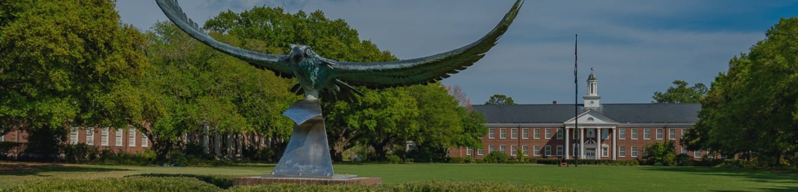 The University of North Carolina Wilmington Online Programs